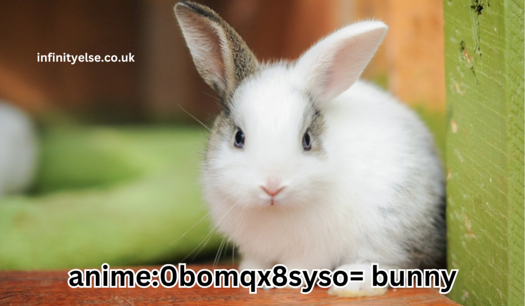 Exploring anime:0bomqx8syso= bunny and Their Enduring Appeal